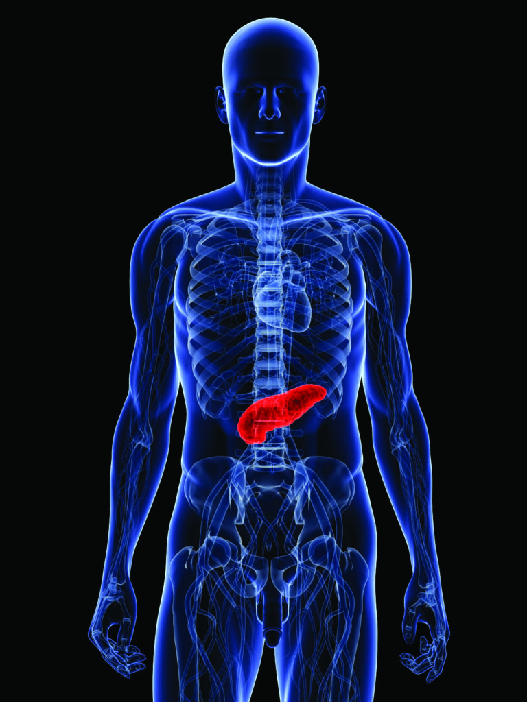 TXSci PANCREAS - Donor Alliance