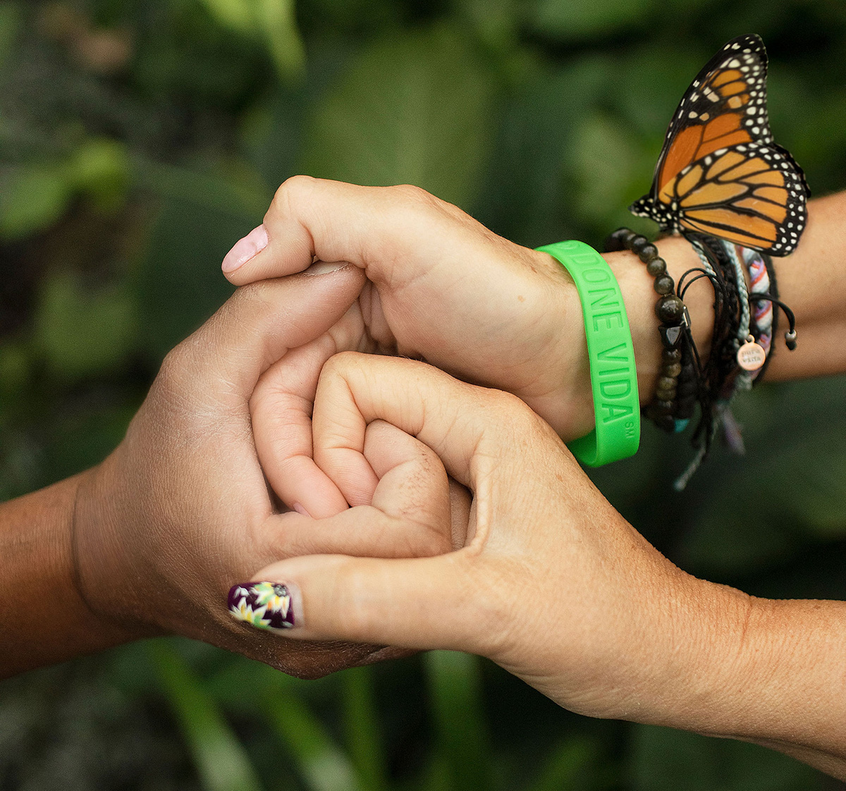 Understanding the Organ & Tissue Donation Process | Donor Alliance